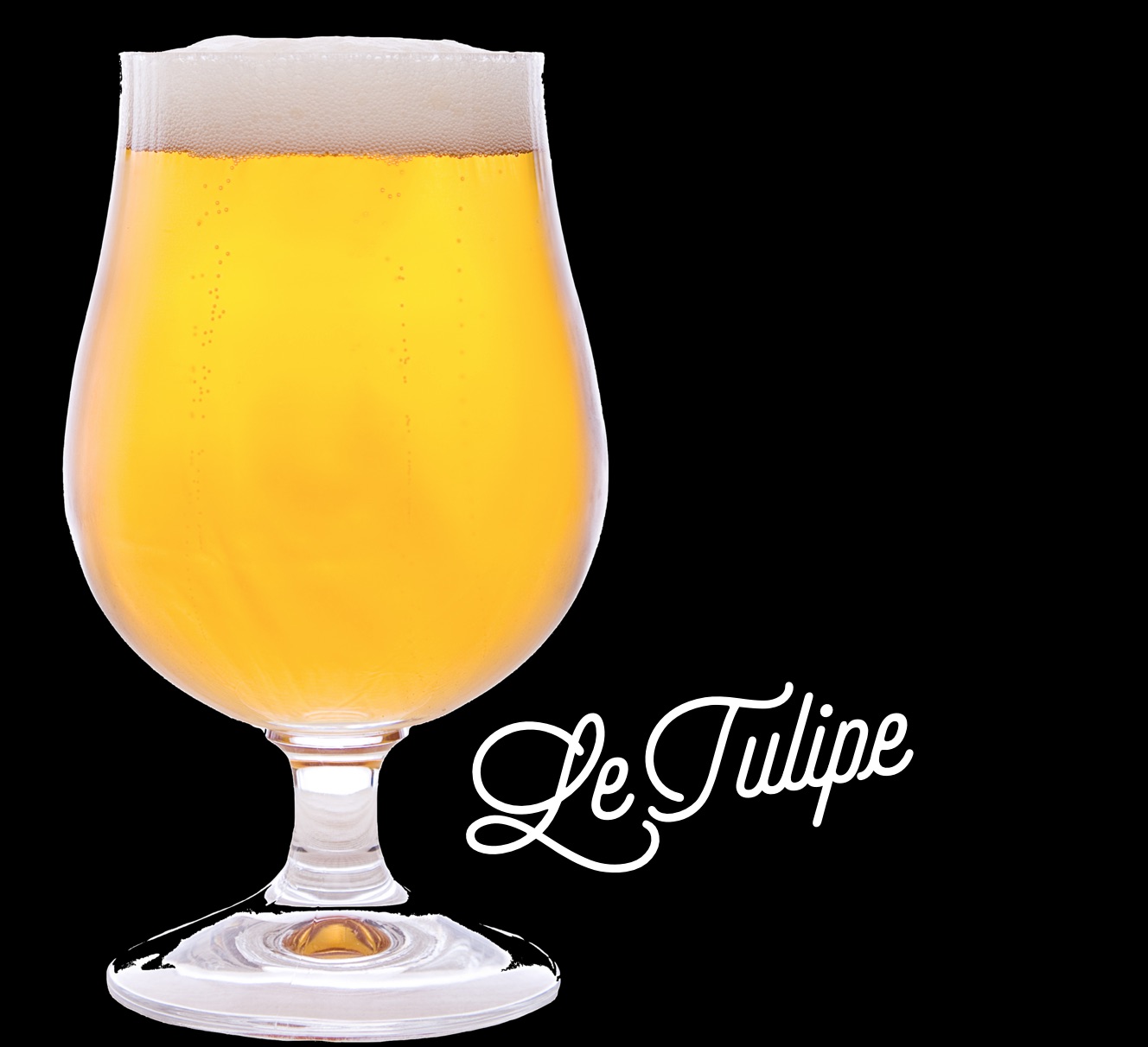 Verre à bière ? Tout savoir sur l'art et la manière de déguster sa bière
