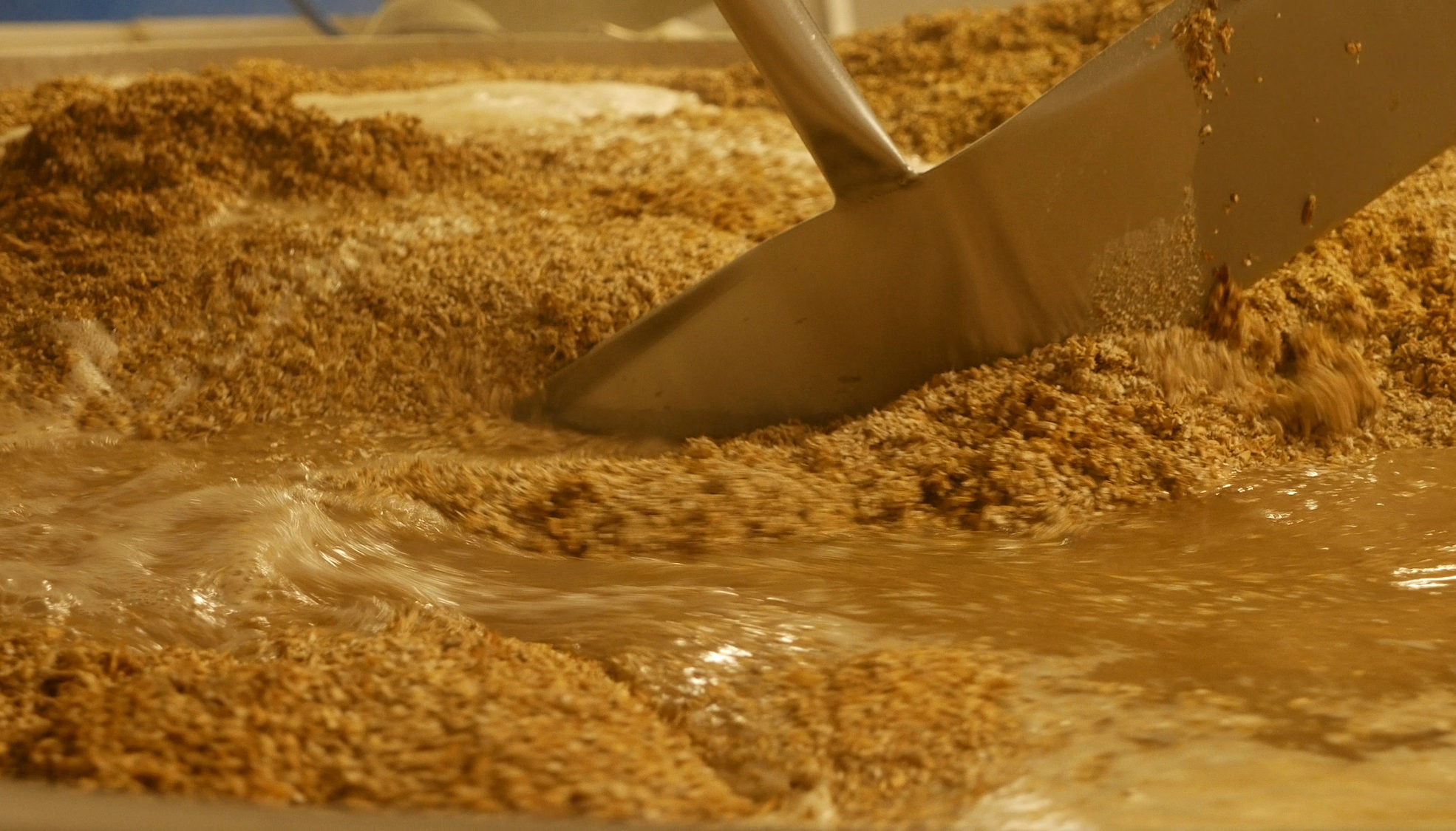 Brasser une bière : mode d'emploi et secrets de brasseurs