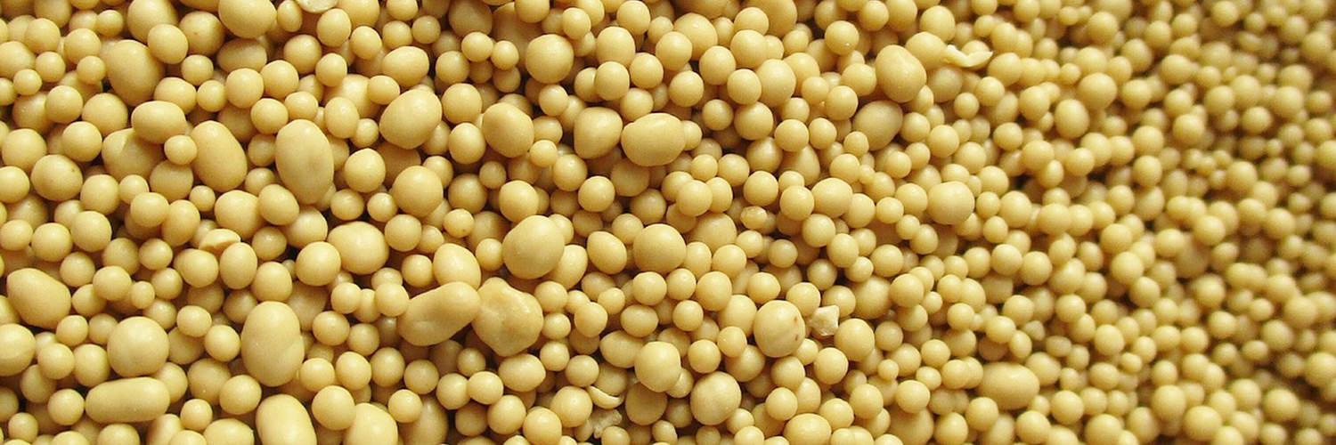 Levure de bière : ses bienfaits et ses grands pouvoirs